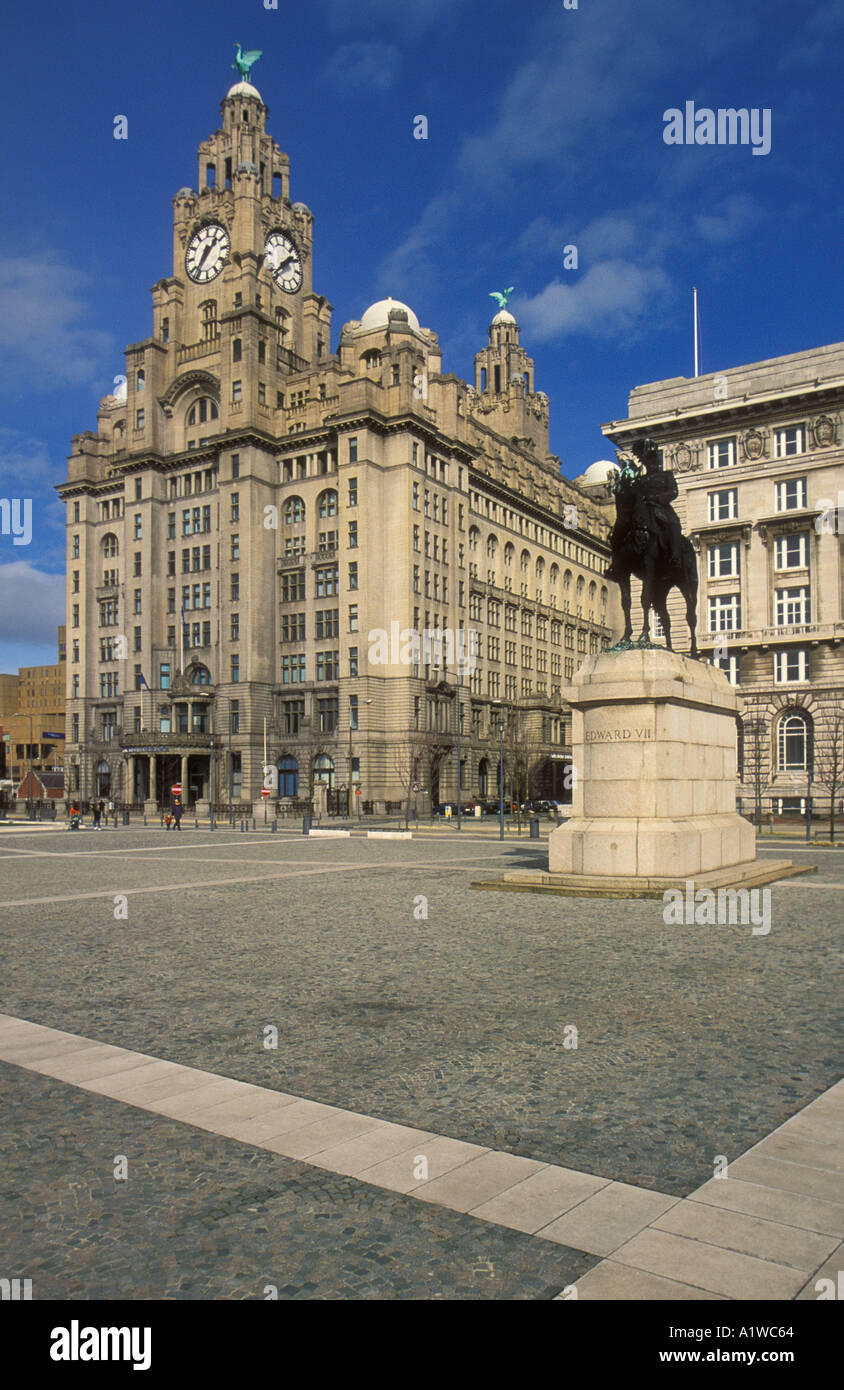 Liver building and Edward VII statue Liverpool merseyside England UK GB ...
