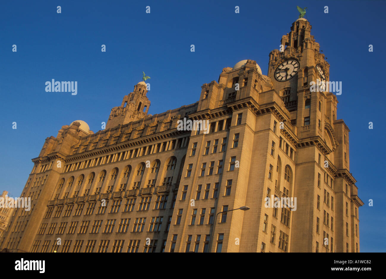 Victorian royal insurance hi-res stock photography and images - Alamy