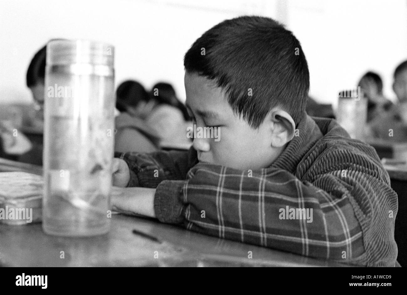 Chinese pupil studying in Weifang school Shandong Province China Stock ...
