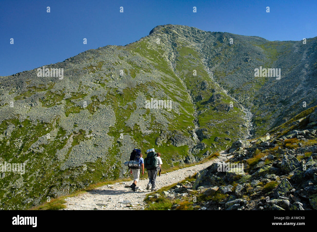 Mount Krivan High Tatra Mountains High Resolution Stock Photography and ...