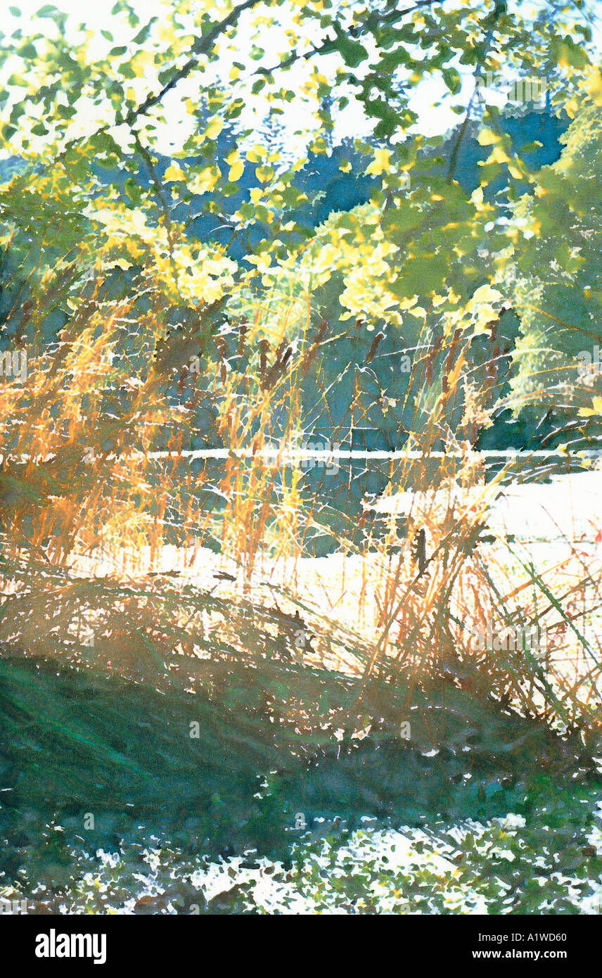 illustration of marsh with cat-tails and tree branches Stock Photo - Alamy