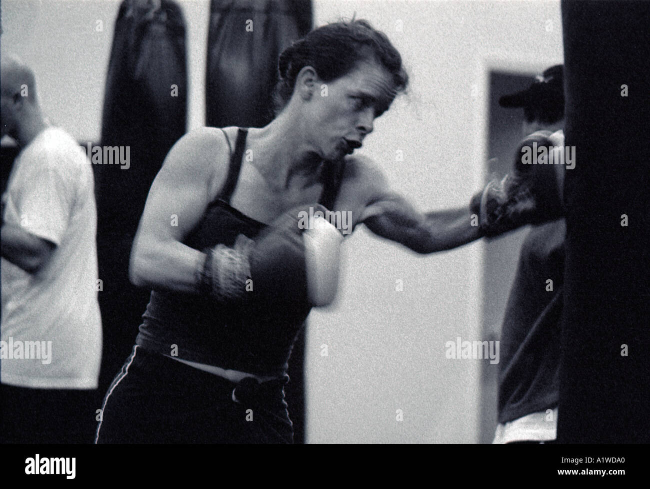 female boxer training for competition Stock Photo - Alamy