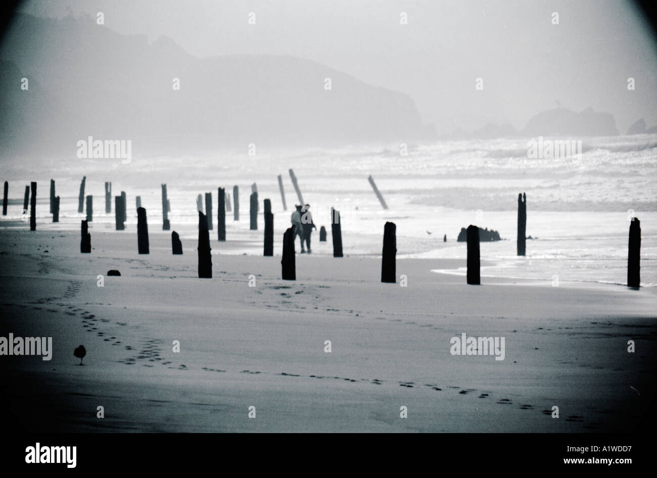 human figure in beach landscape Stock Photo - Alamy