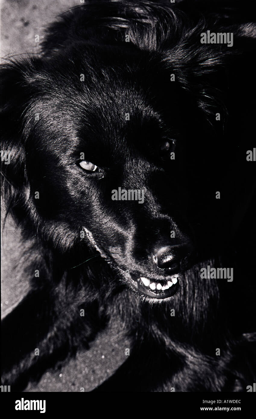 Brilliant witty hi-res stock photography and images - Alamy