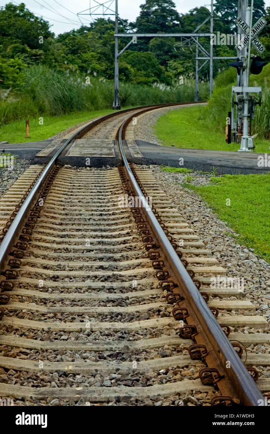 Panama Canal Railway along Panama Canal Stock Photo - Alamy