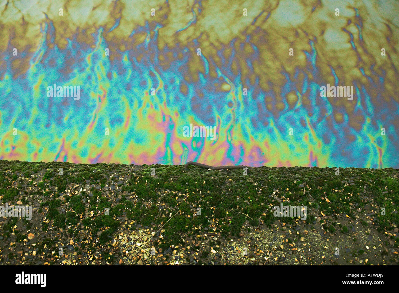 Patterns made by oil pollution in a river, Stratford, London, UK Stock ...