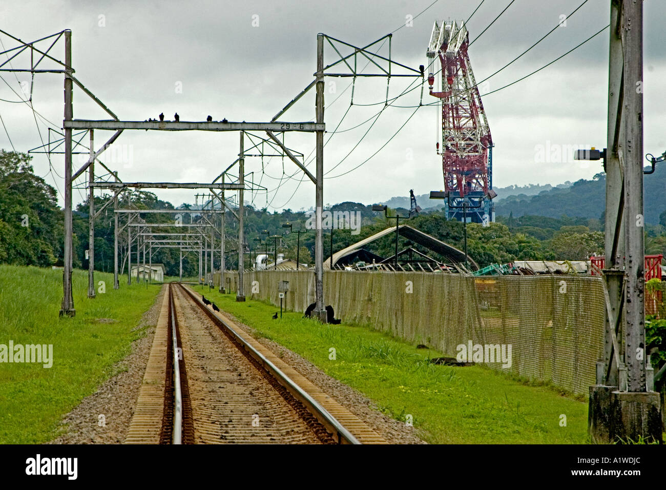 Panama Canal Railway along Panama Canal Stock Photo - Alamy