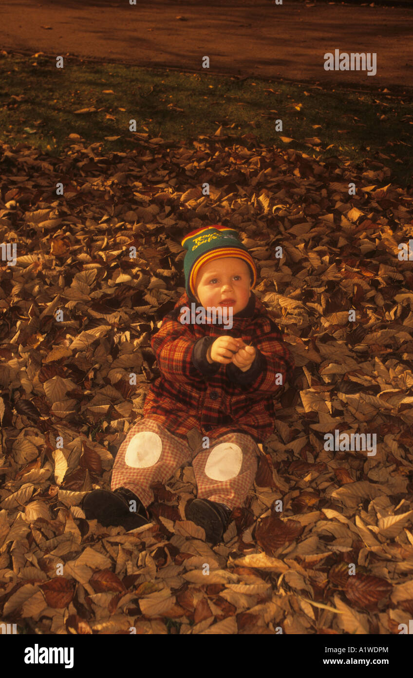 Little Boy Sitting On A Carpet Of Fallen Autumn Leaves,In Hanley Park ...
