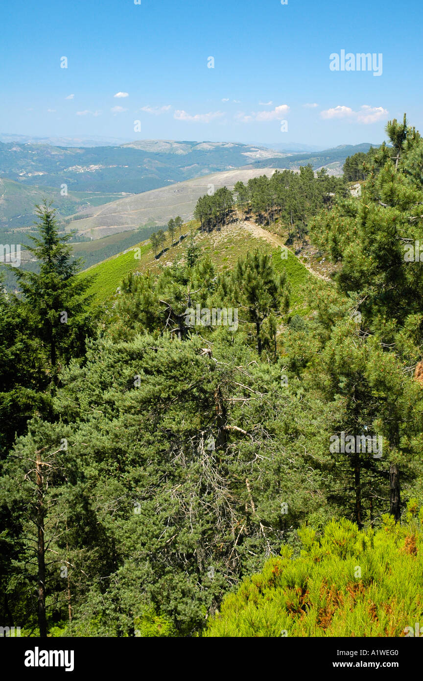 Parque natural do alvão hi-res stock photography and images - Alamy
