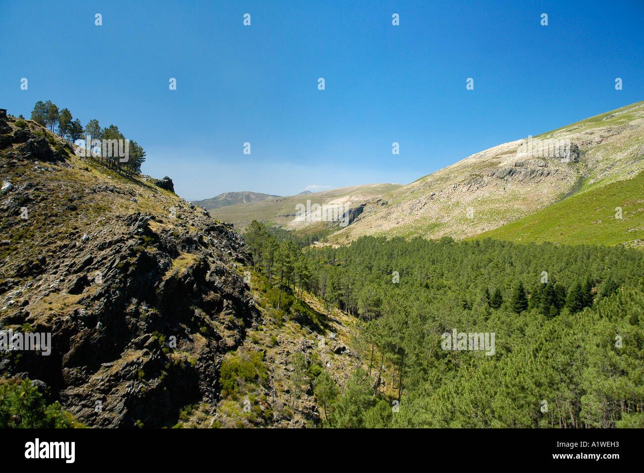 Parque natural do alvão portugal hi-res stock photography and images ...