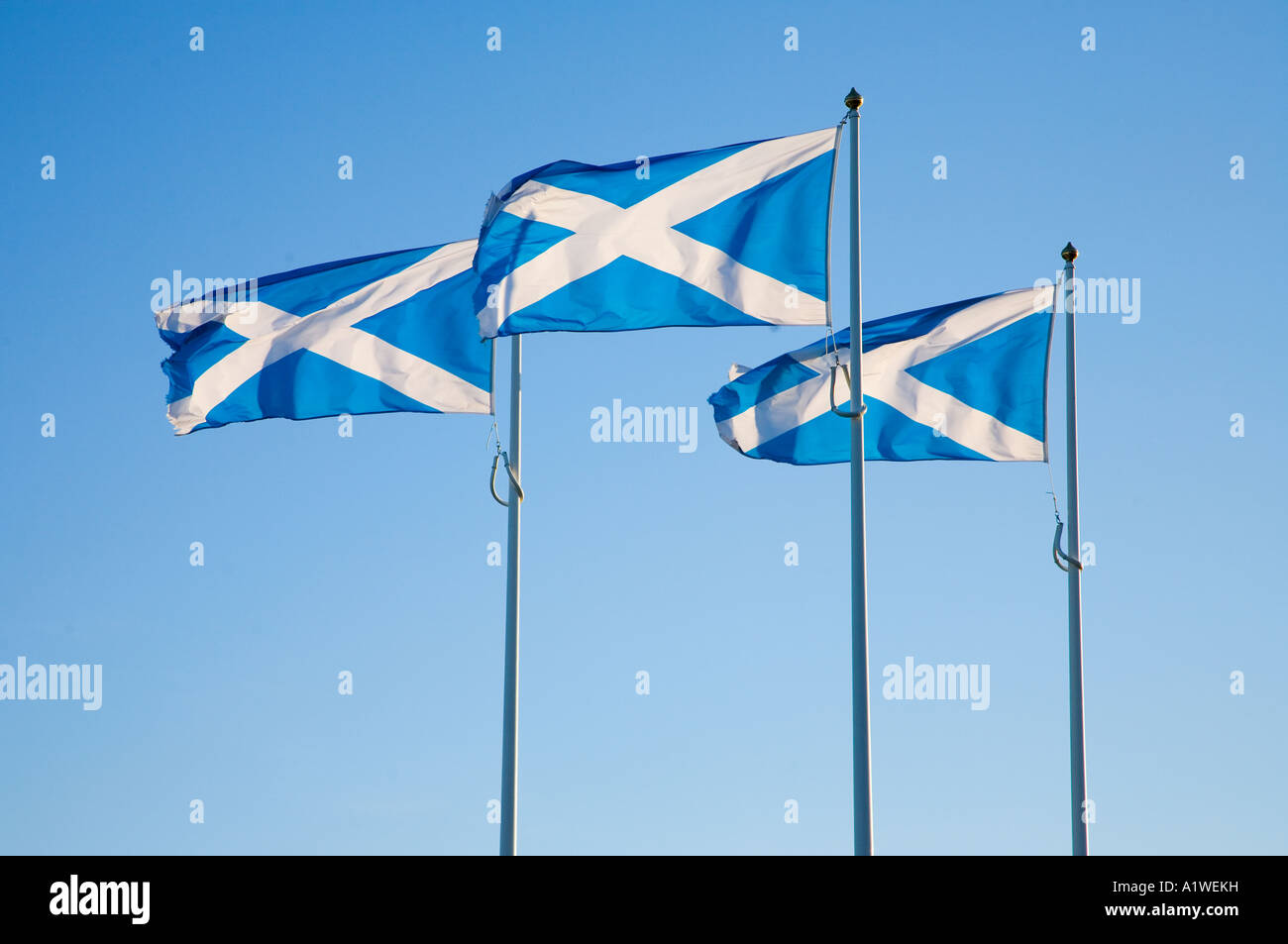 Saltire cross of st andrew hi-res stock photography and images - Alamy