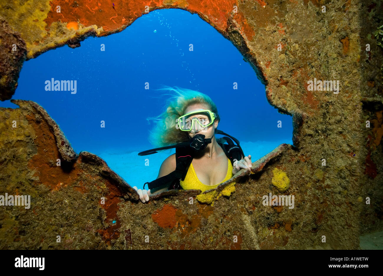 A SCUBA DIVER PEERS THROUGH A TEAR IN THE HULL OF JAMES BOND WRECK NEW ...
