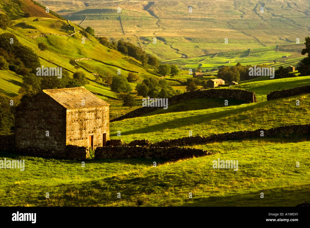 Swaledale valley dawn hi-res stock photography and images - Alamy