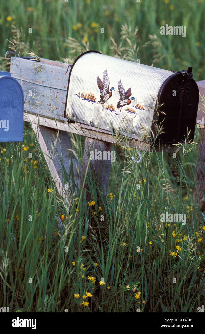 Mailbox in tall grass hi-res stock photography and images - Alamy
