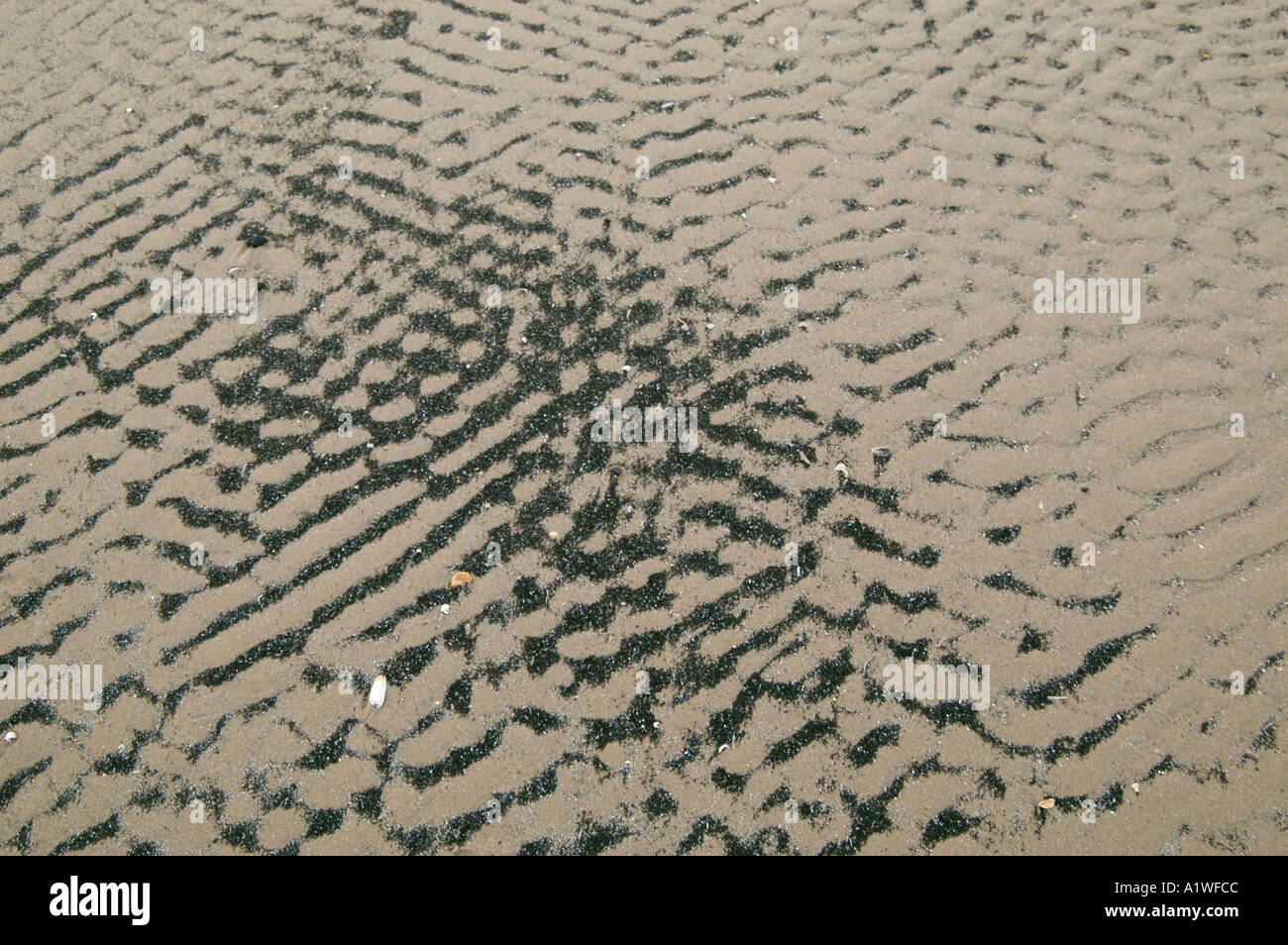 Pattern in sand on a beach Stock Photo - Alamy