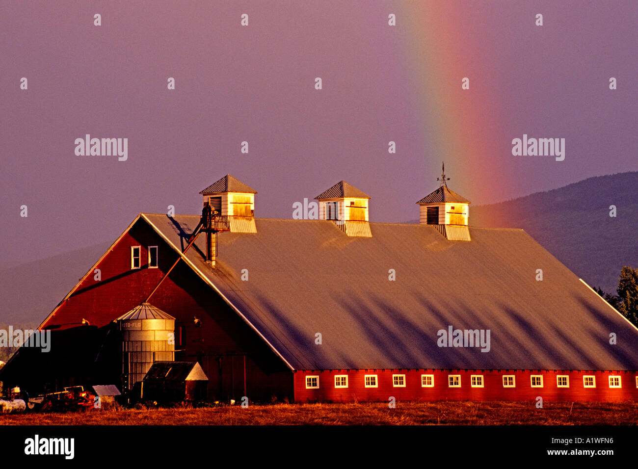 Rainbow over barn in Sequim, WA Stock Photo - Alamy