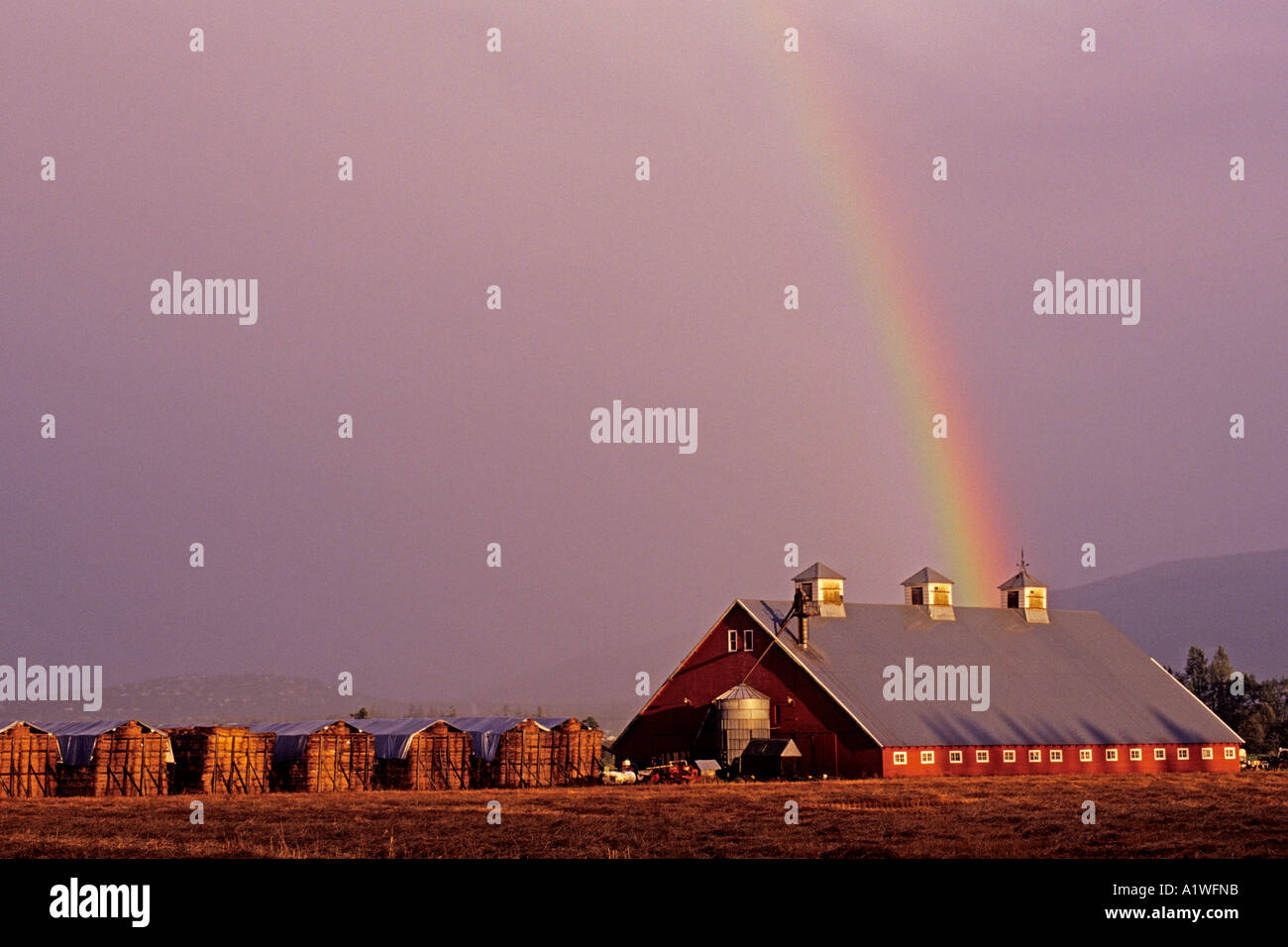 Sequim wa hi-res stock photography and images - Alamy