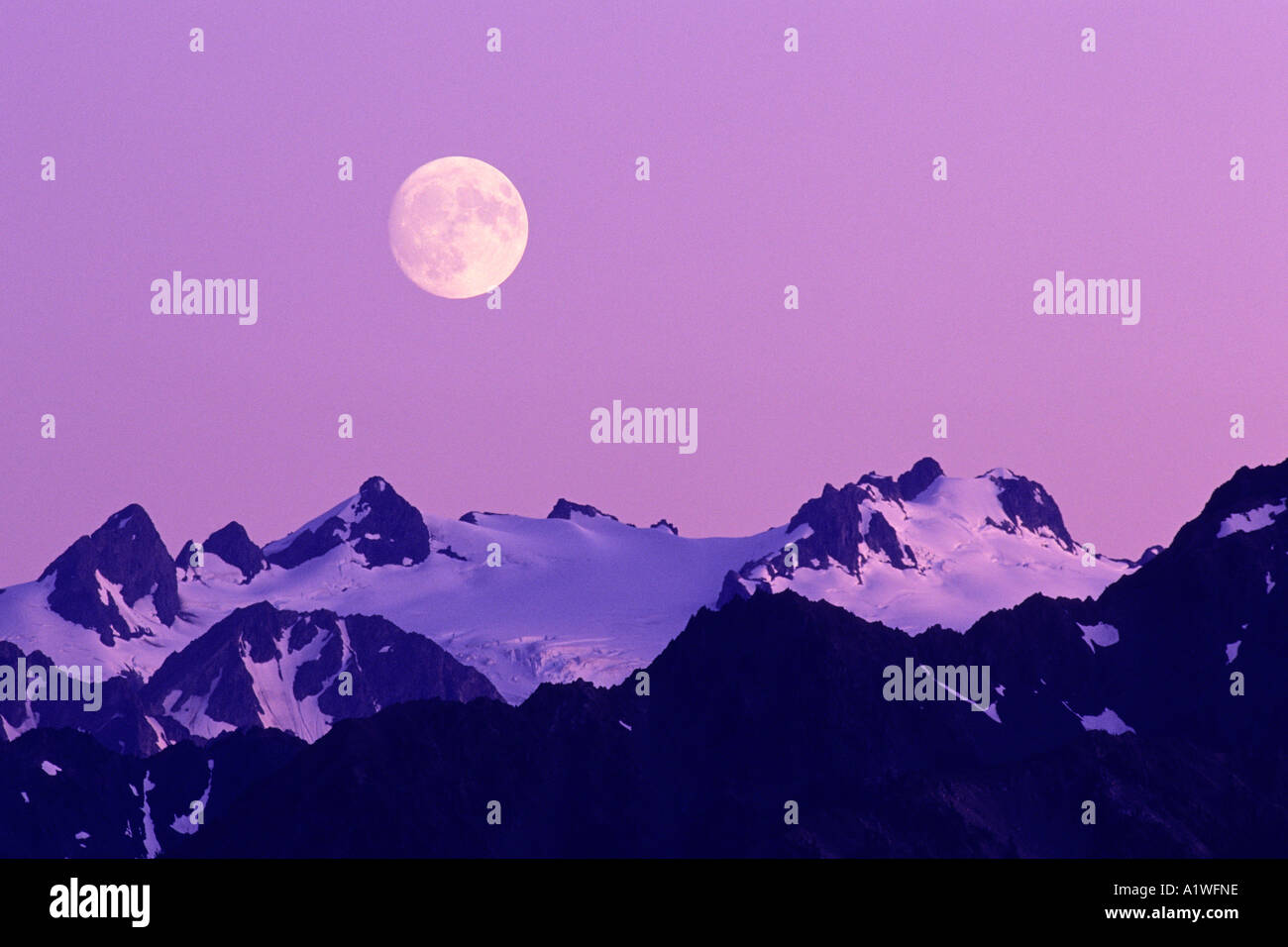 Moonrise over Mount Olympus, Olympic National Park, Washington State ...