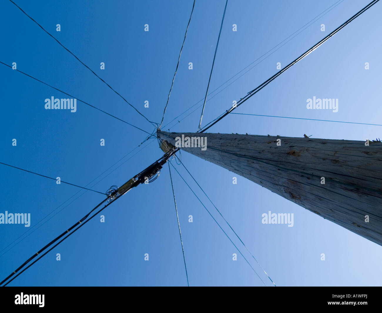 Electric power and telephone lines on utility poles Stock Photo - Alamy