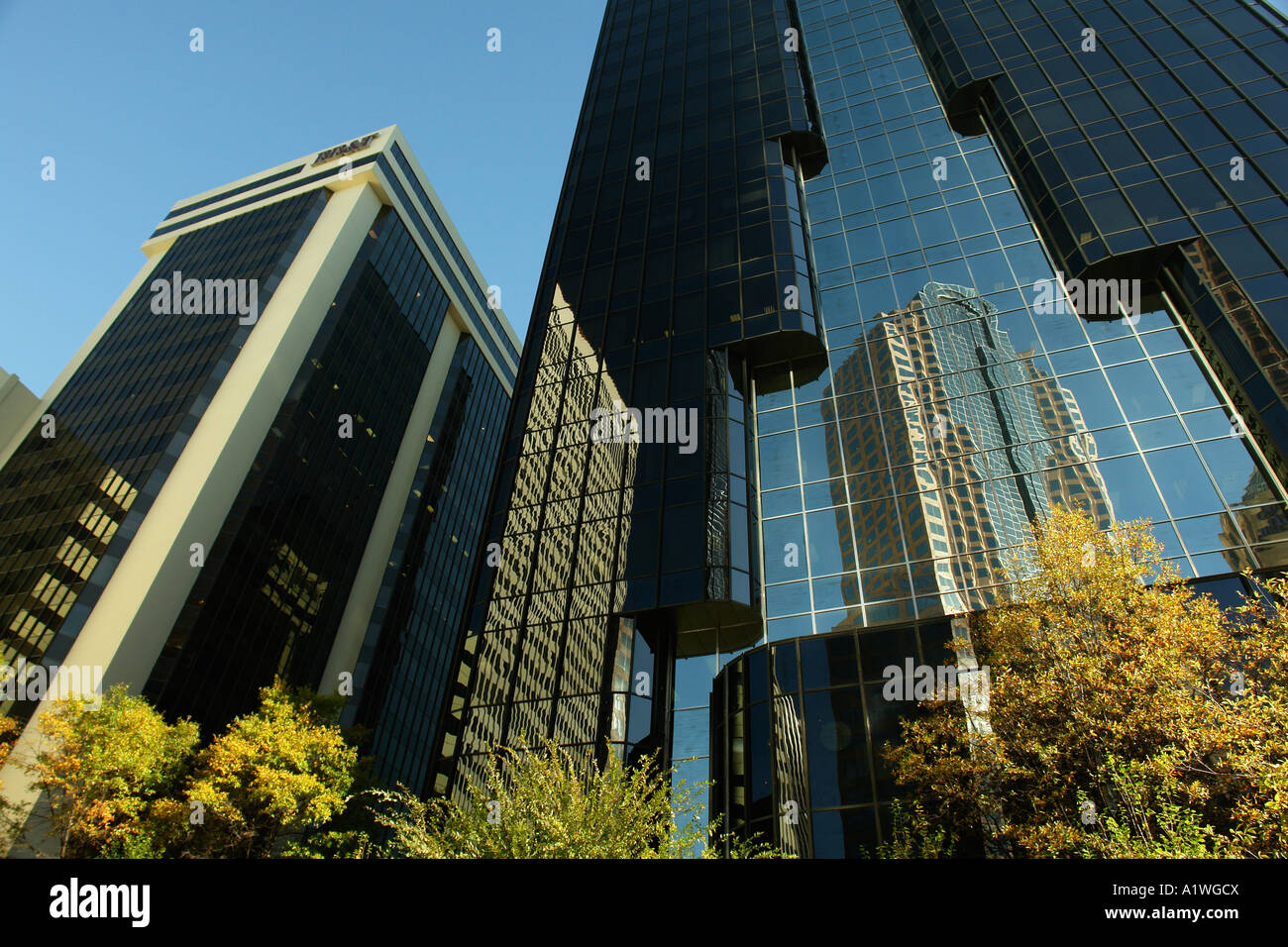 AJD54444, Charlotte, NC, North Carolina, Downtown, high-rise buildings ...