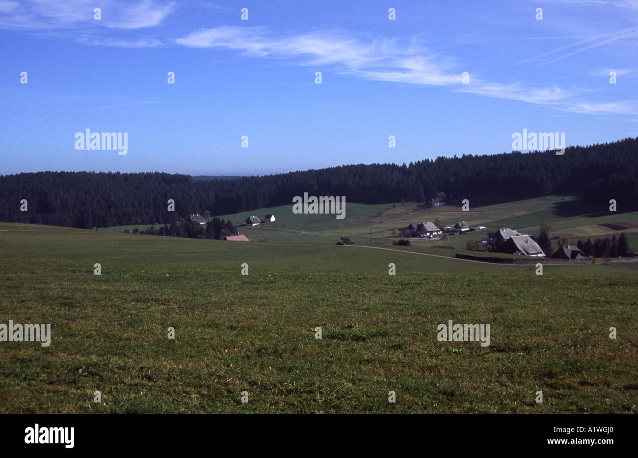 Black Forest, Schwartzwald, Germany Stock Photo - Alamy
