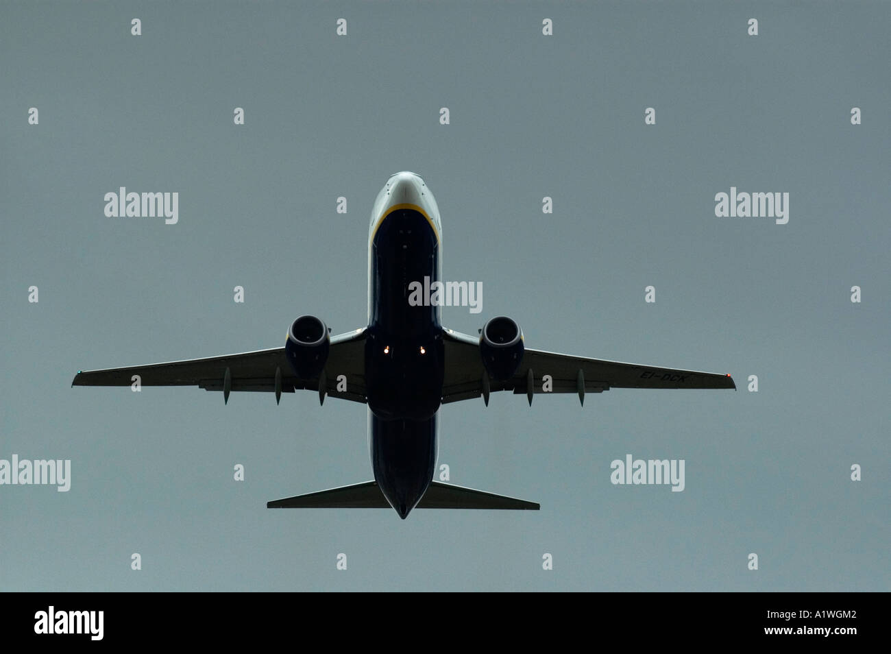 Cut off the wings hi-res stock photography and images - Alamy