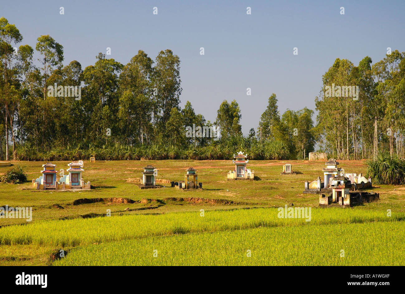 Vietnam tomb rice fields hi-res stock photography and images - Alamy