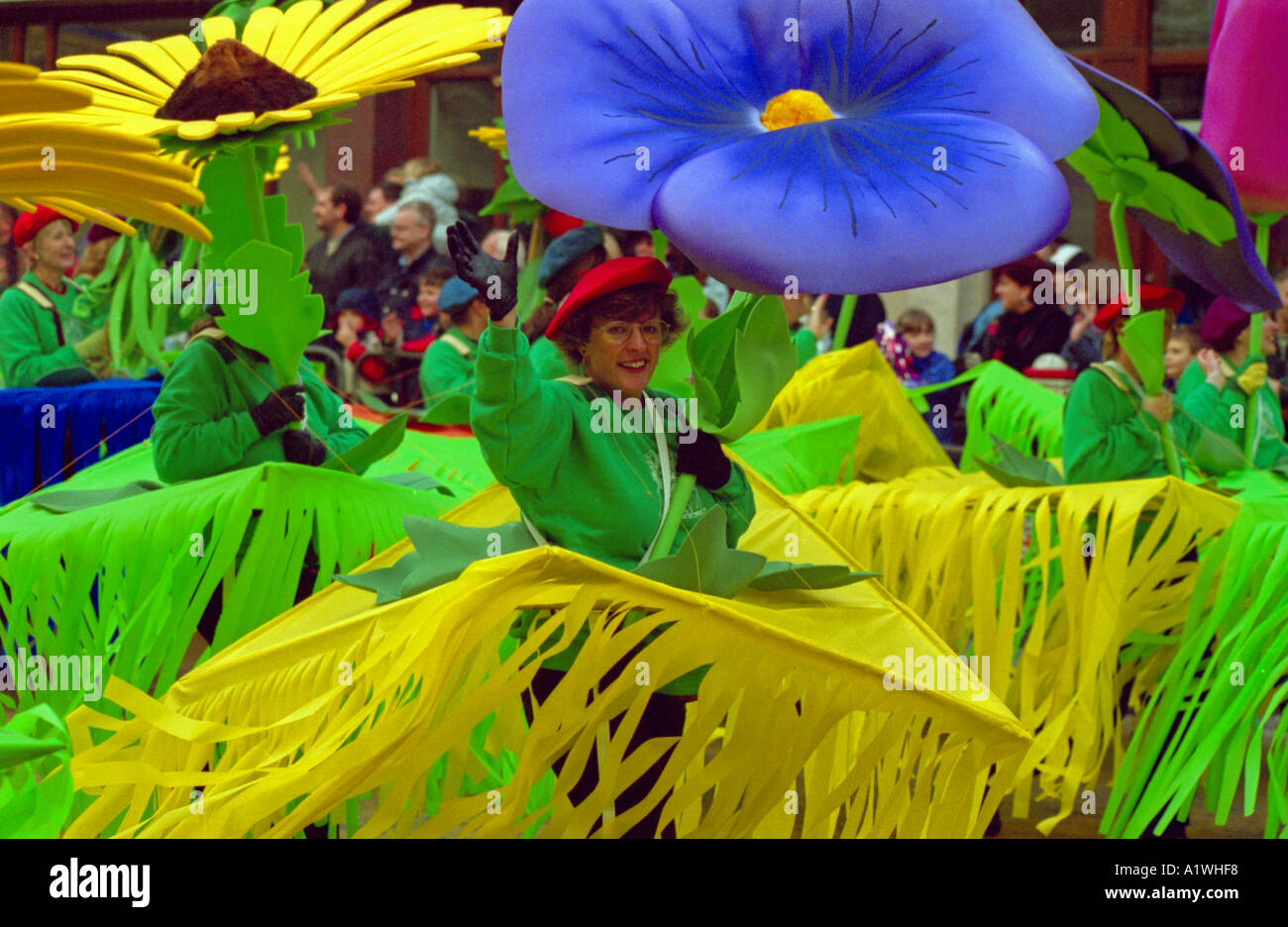 pigs bottom funny Stock Photo - Alamy