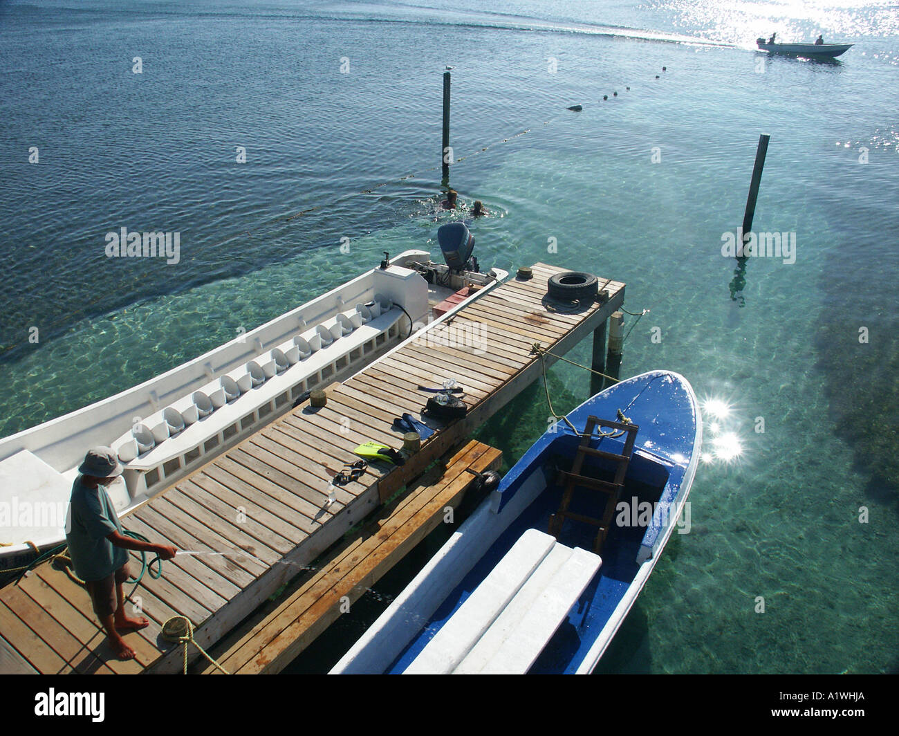 Boatsman Cleaning his Vessel on a Pier, Roatan Island, Honduras ...