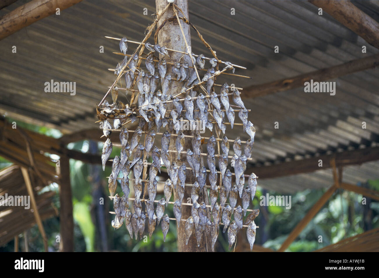 Kampala daily life hi-res stock photography and images - Alamy