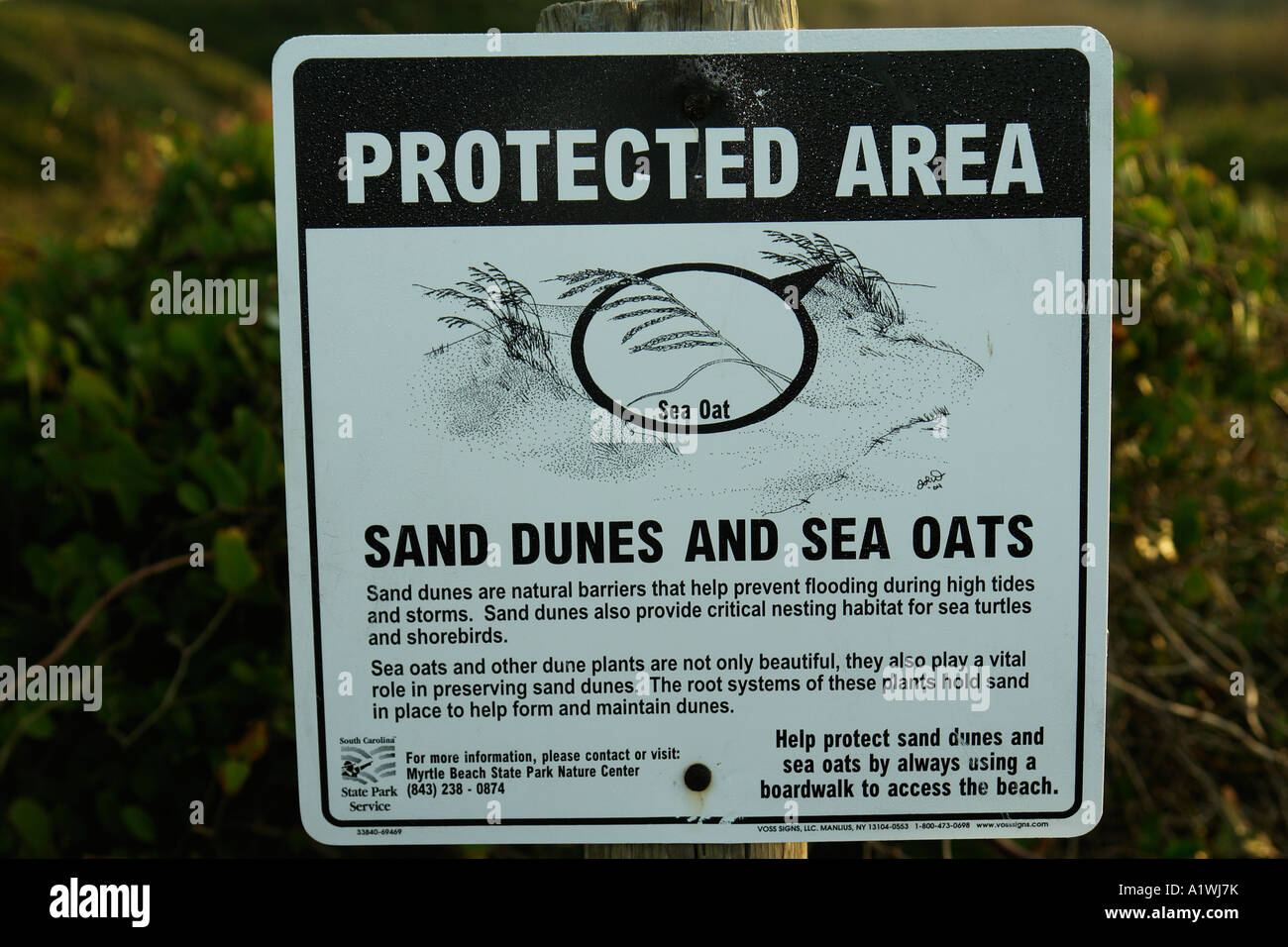 AJD54782, Myrtle Beach, SC, South Carolina, Grand Strand, Protected ...
