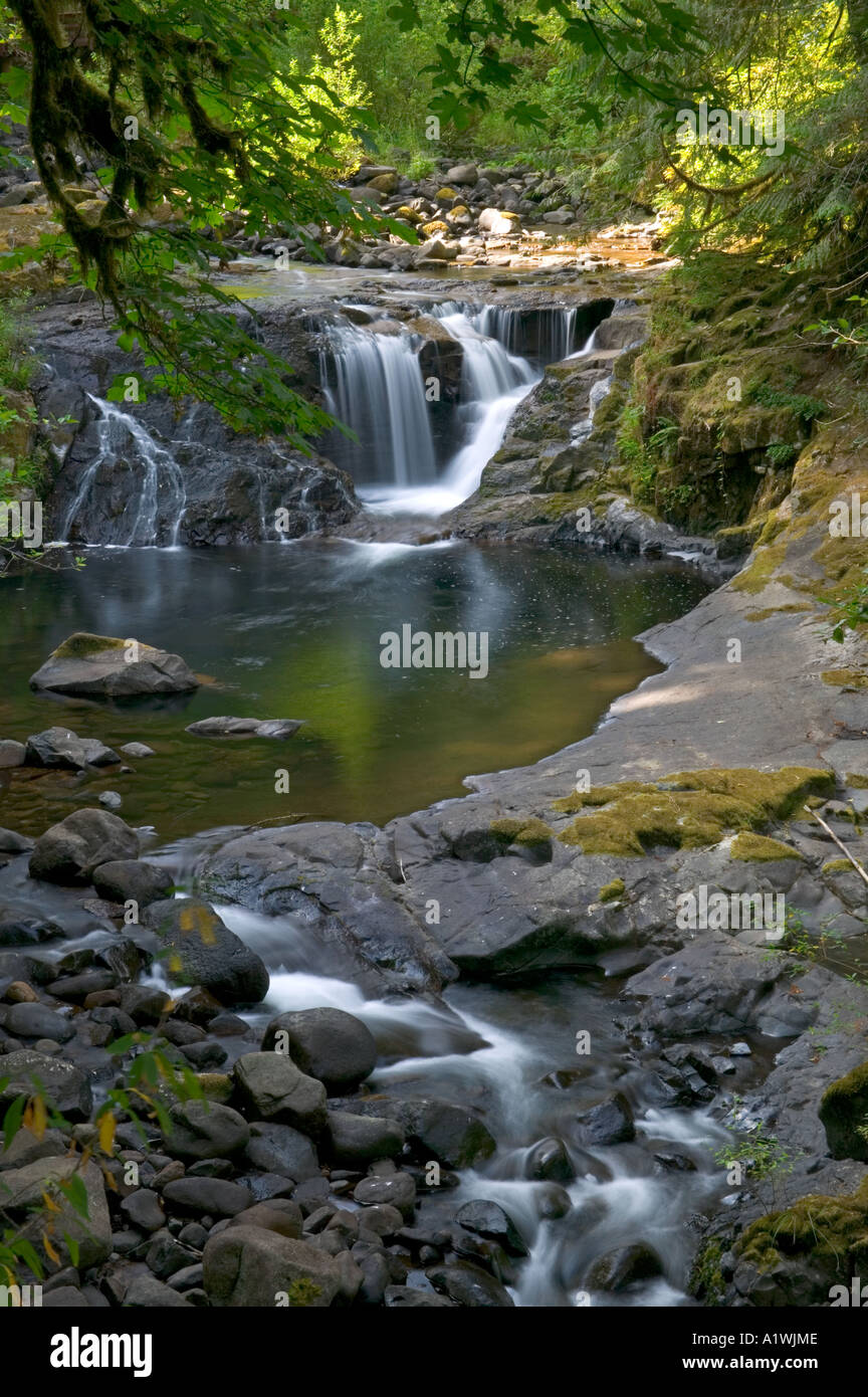 Sweet Creek and one of it's many waterfalls near Mapleton, Oregon Stock ...