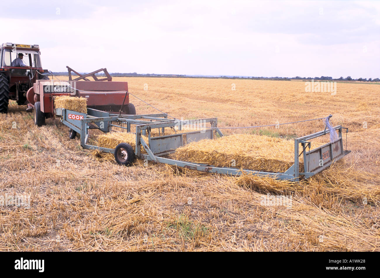 LINCOLNSHIRE HAY MAKING. Tractor pulling trailer loaded with freshly ...