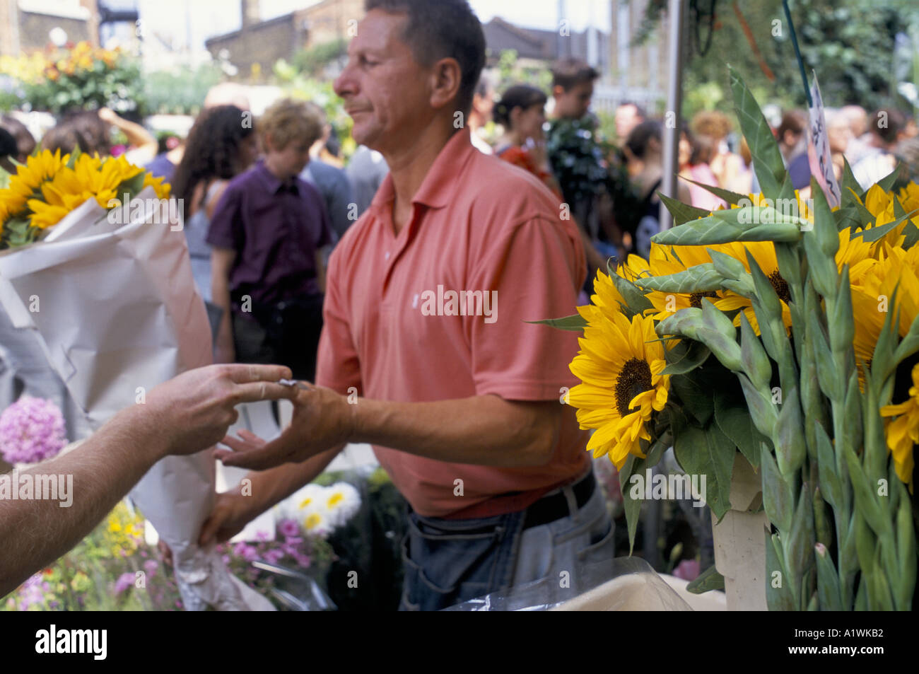 Selling sunflowers hi-res stock photography and images - Alamy