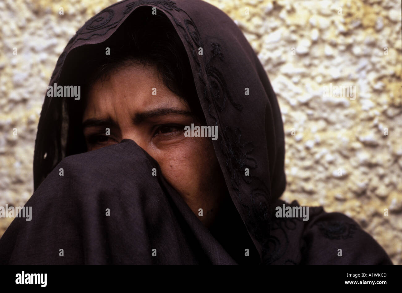 WIDOW KABUL 1996 Stock Photo - Alamy