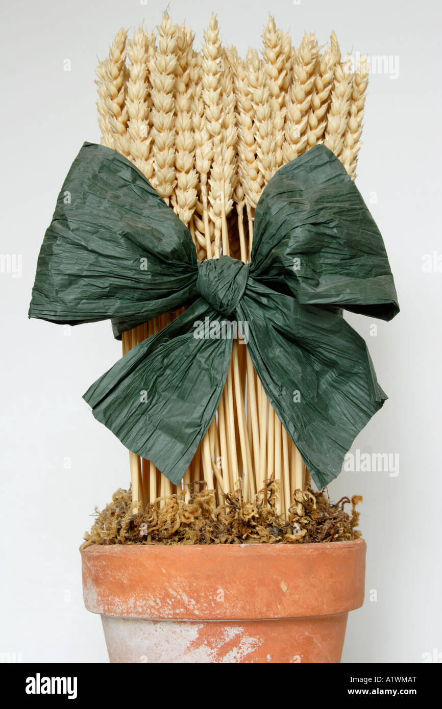 Bow bundle hi-res stock photography and images - Alamy