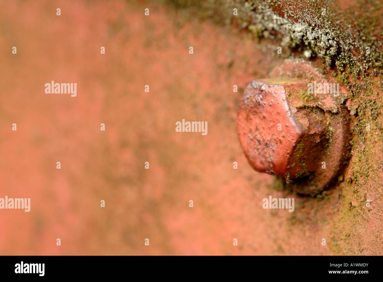 Bolt and rust close up Stock Photo - Alamy