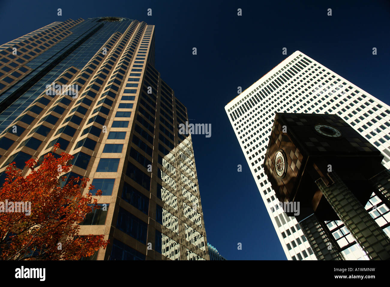 AJD54435, Charlotte, NC, North Carolina, Downtown, high-rise buildings ...