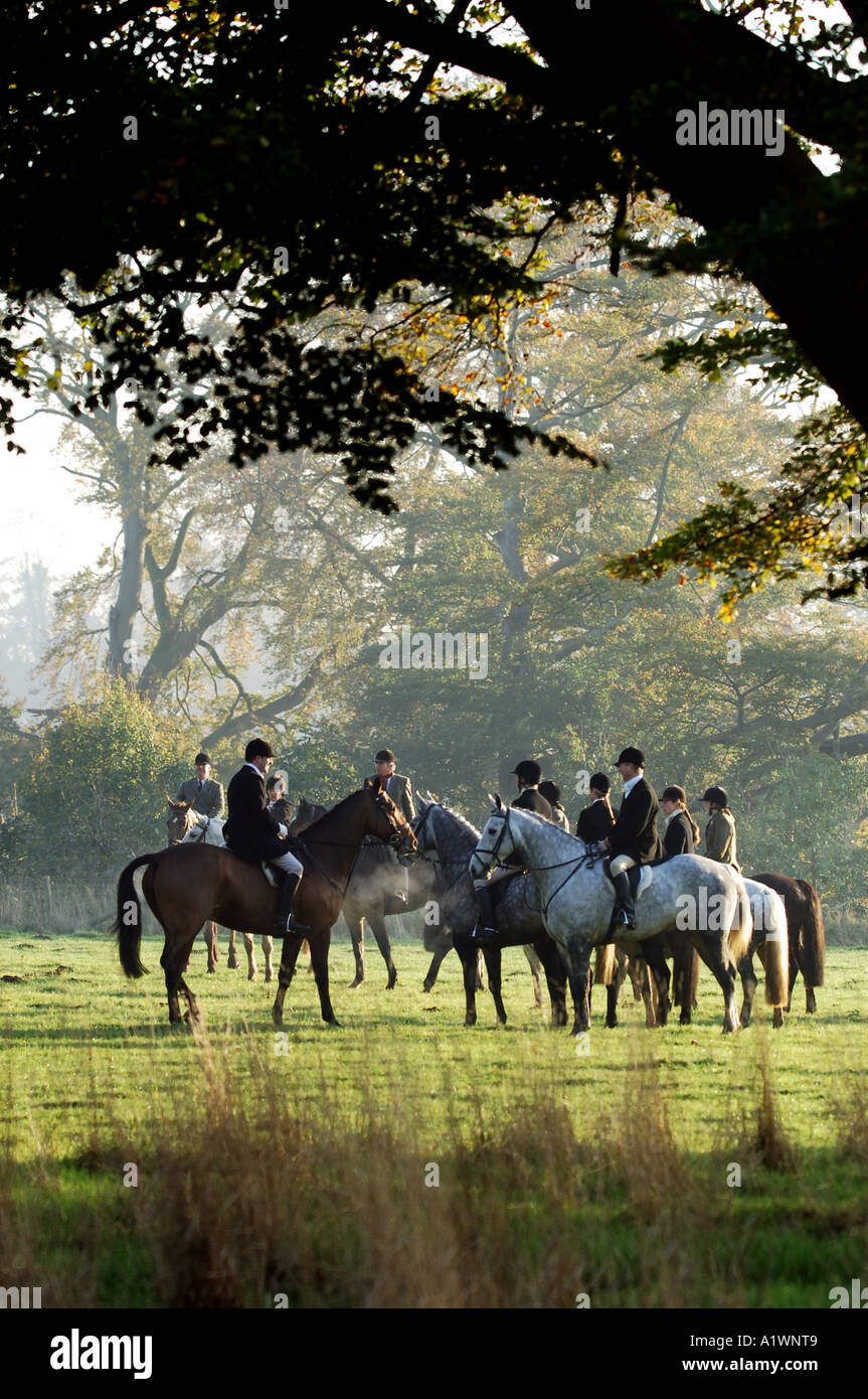 English hound hunting rural tradition hi-res stock photography and ...