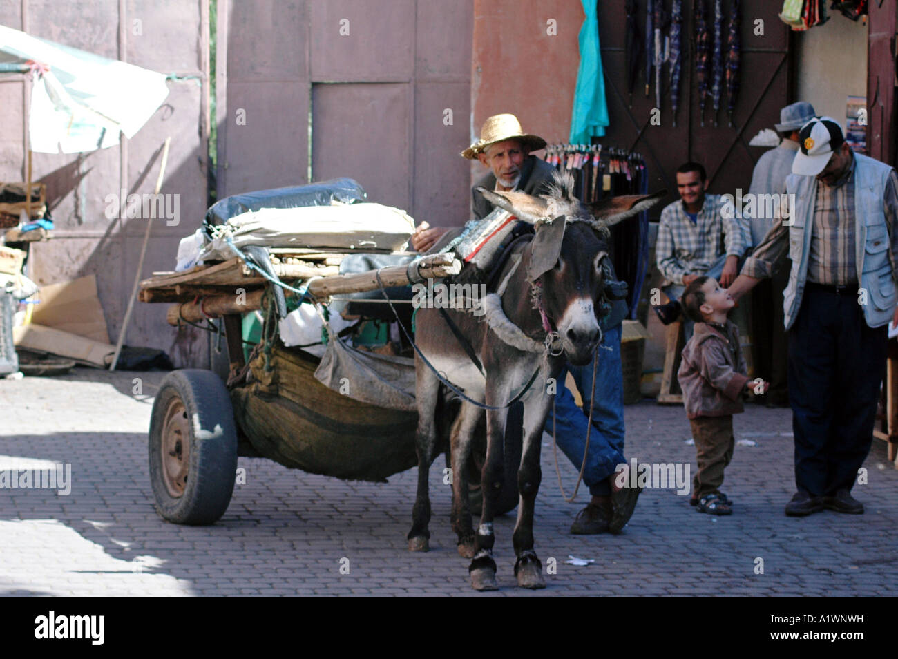 old man and his friend Stock Photo - Alamy