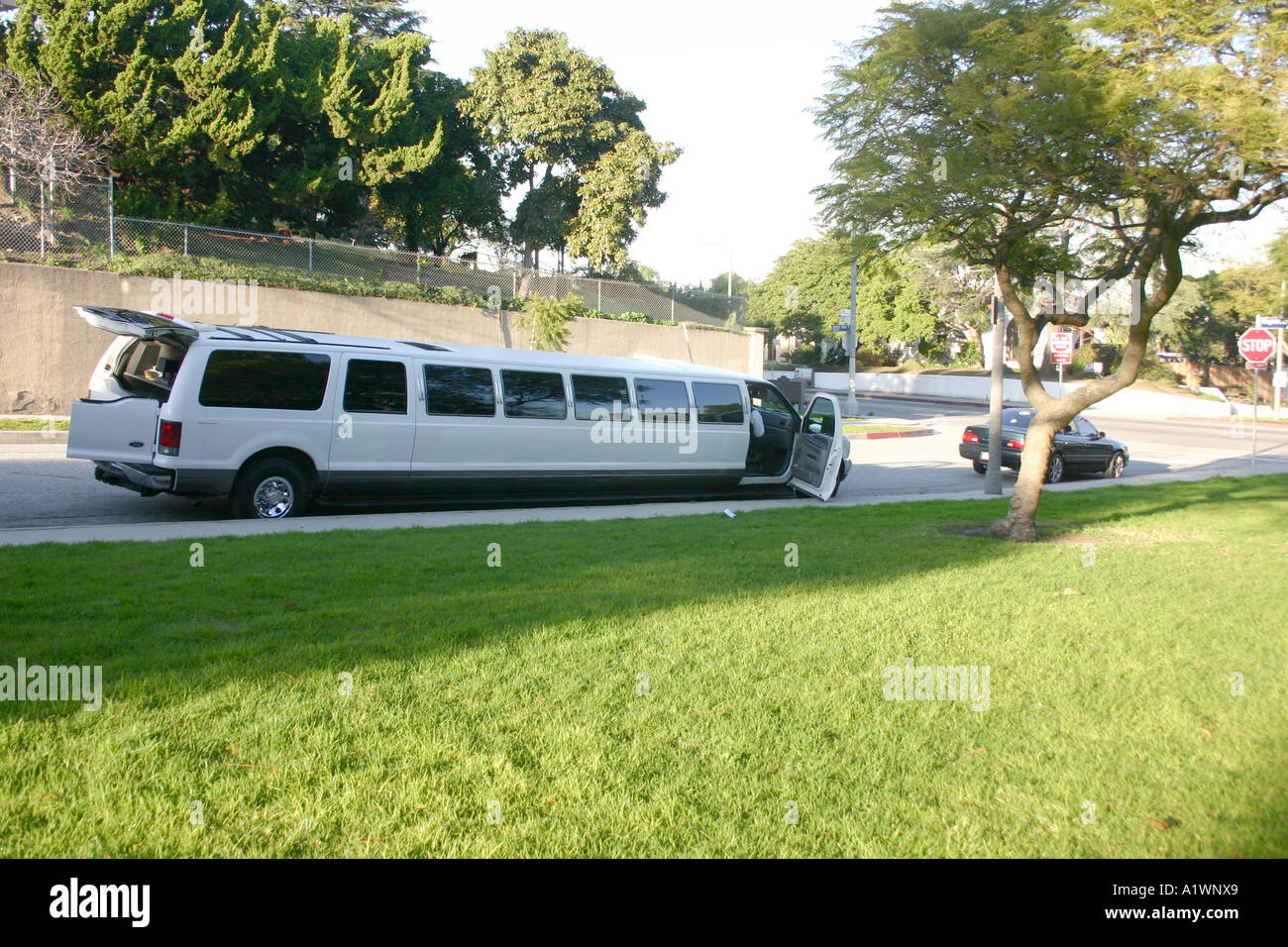 Big limousine hi-res stock photography and images - Alamy