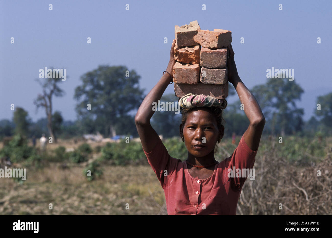 Woman carrying bricks hi-res stock photography and images - Alamy