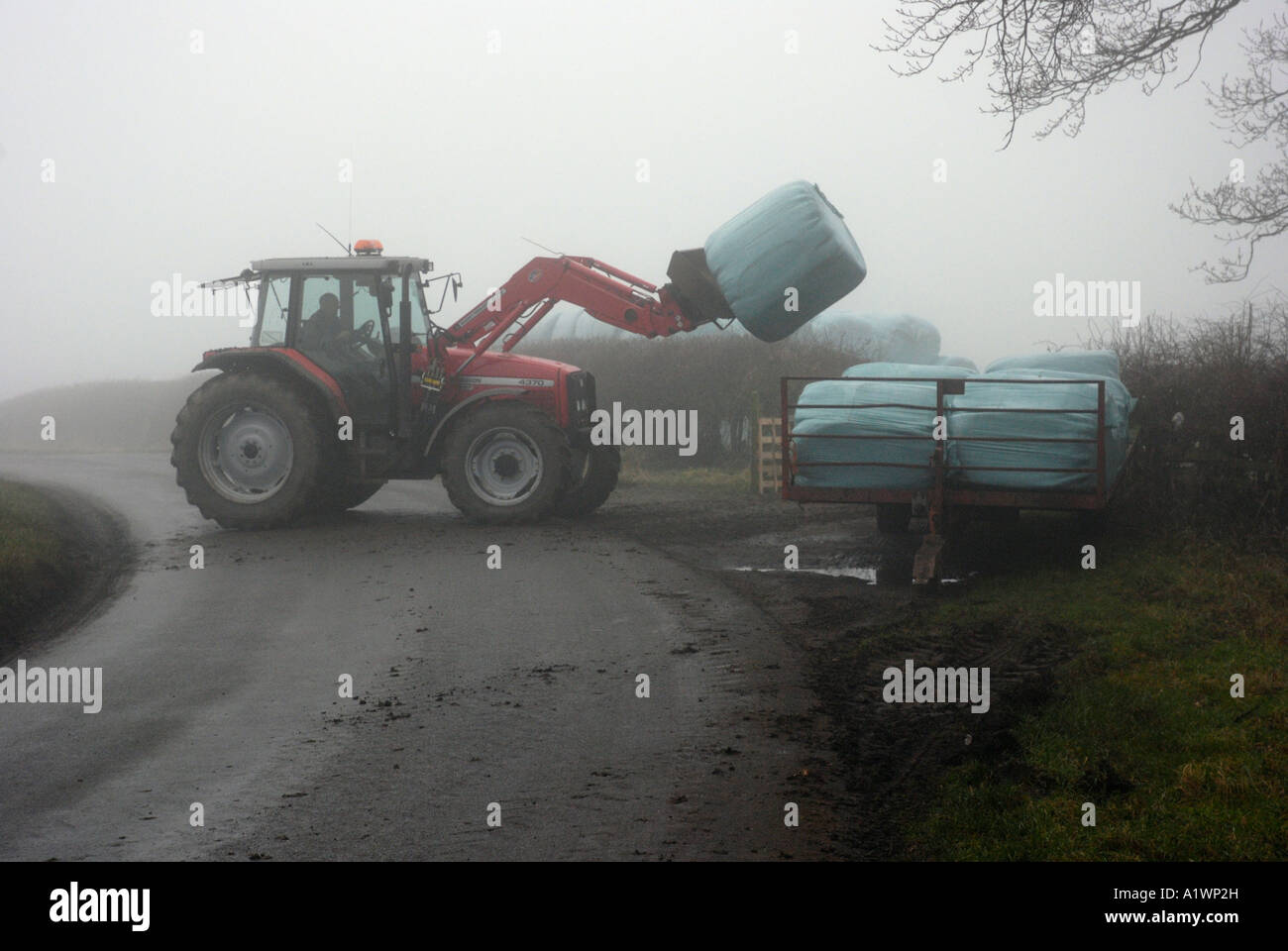 Loading silage bales Stock Photo - Alamy