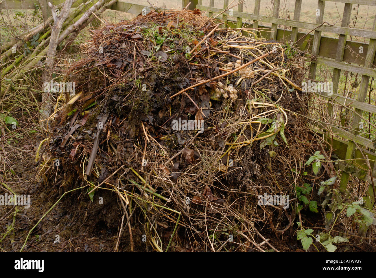 Composted green waste hi-res stock photography and images - Alamy