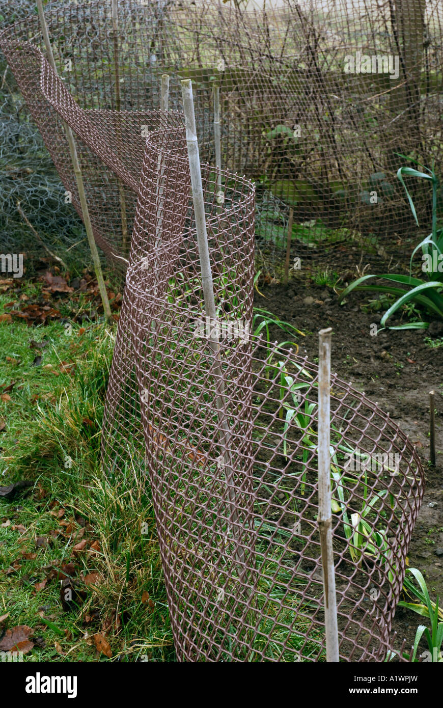 Rabbit netting hi-res stock photography and images - Alamy
