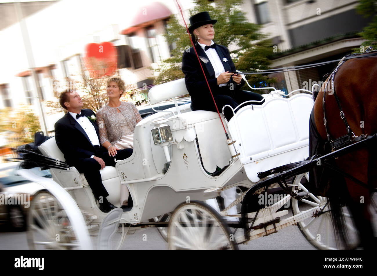 Female driver ride on buggy hi-res stock photography and images - Alamy