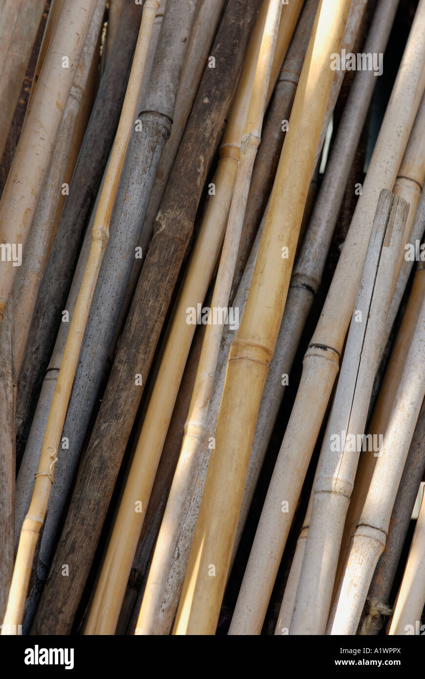 Garden canes hi-res stock photography and images - Alamy