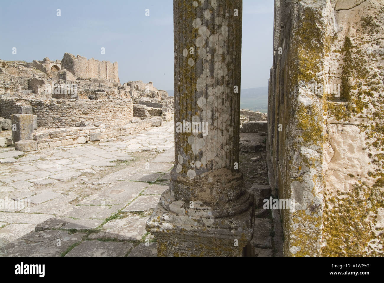 Roman ruins, Dougga Stock Photo - Alamy