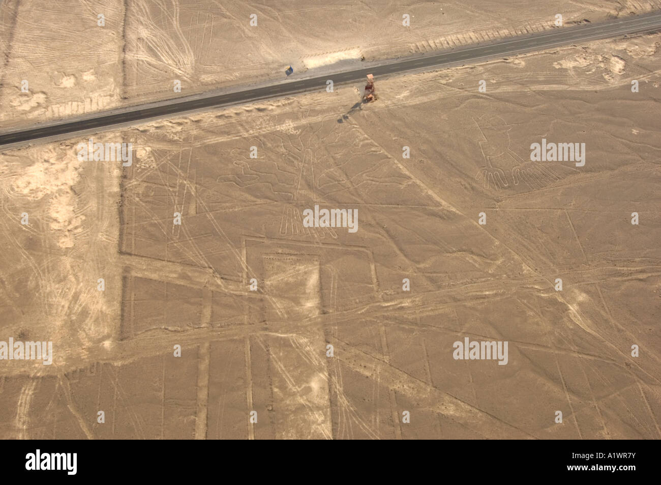 The Nazca lines showing the "The Tree" and "The Hands" near the centre ...