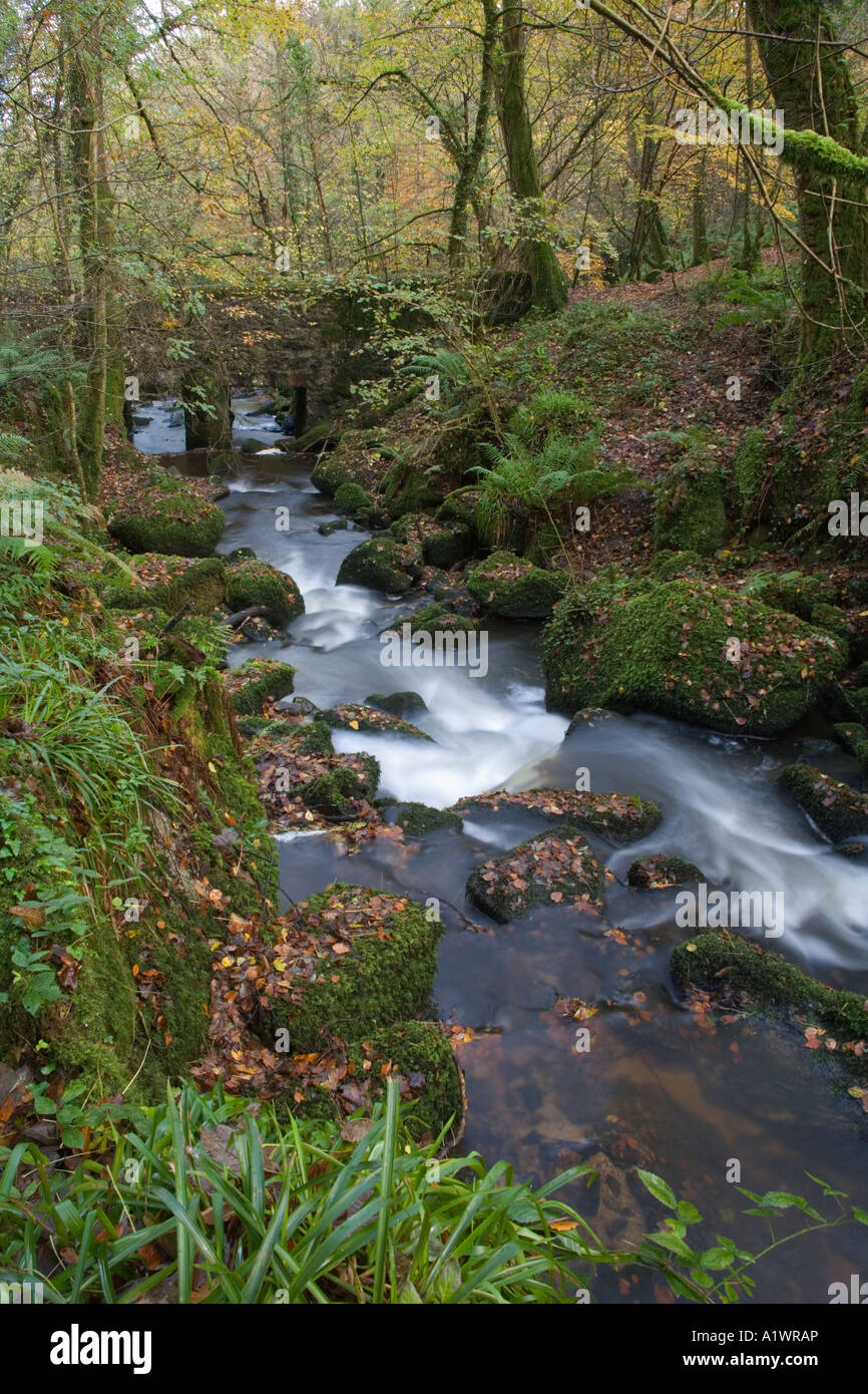 part of the river kennall kennall vale cornwall, a cornwall wildlife ...
